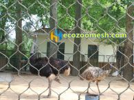 Walk-In Aviary Mesh | Zoo Mesh Supplier-Hengyi