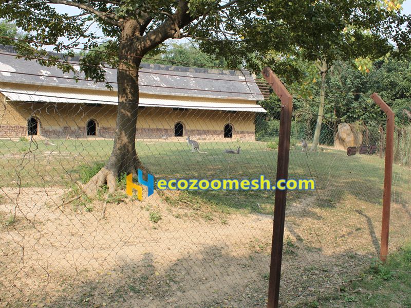 giraffe exhibit, giraffe fence, giraffe cage mesh, giraffe enclosure mesh