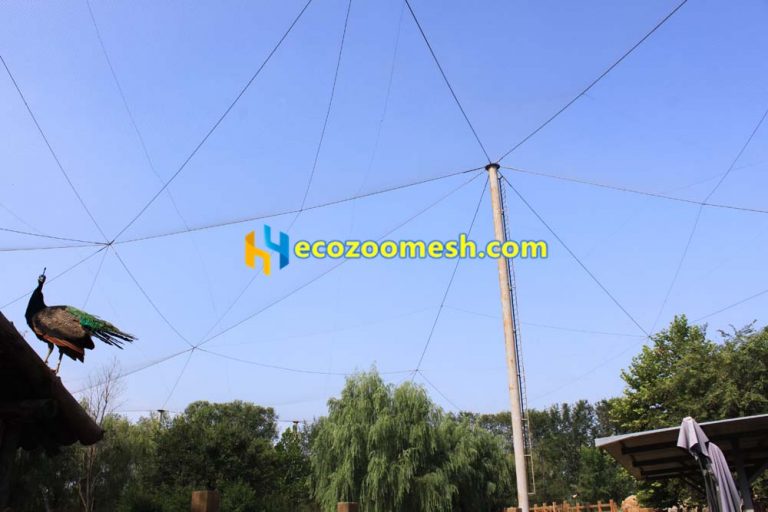 free-flying mesh aviary, Stainless steel wire rope aviary net
