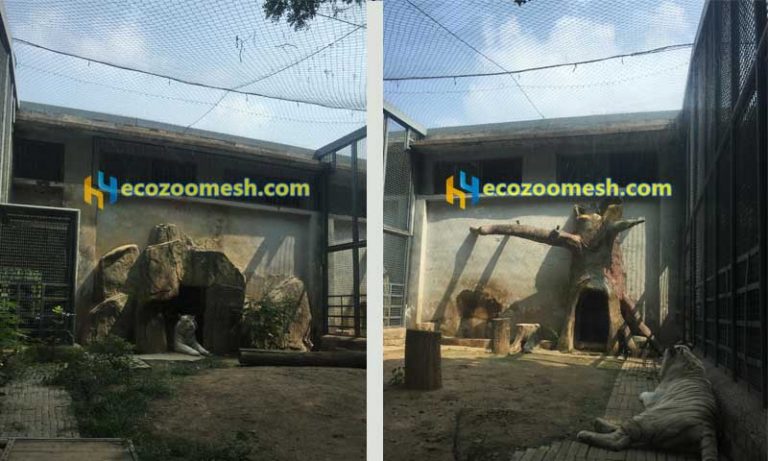 Tiger metal woven wire fence mesh, tiger fence and zoo mesh