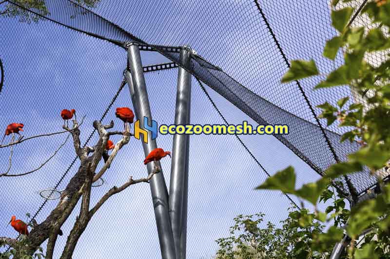 10-9 Wire rope mesh for bird exhibit design | Zoo Mesh Supplier-Hengyi