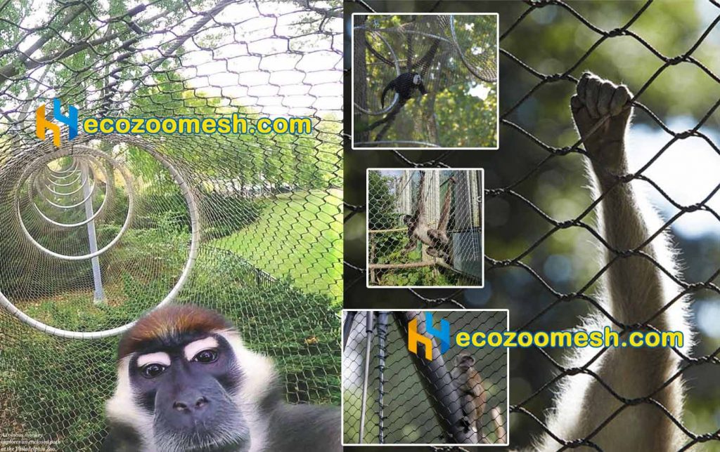Woven Mesh Zoo Fence-ecozoomesh | Zoo Mesh Supplier-Hengyi