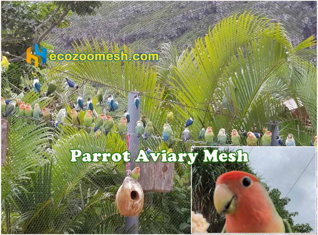 Stainless Steel Aviary Mesh Parrot Wire Mesh | Zoo Mesh Supplier-Hengyi