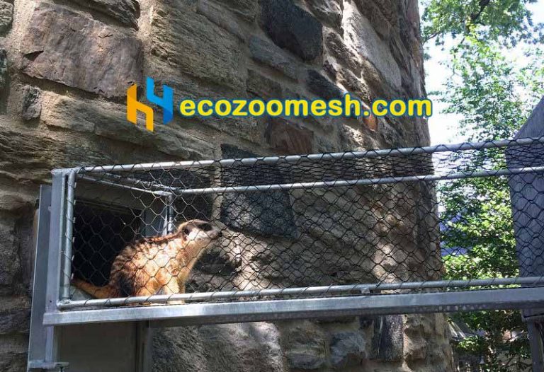 Meerkat Enclosure Mesh | Zoo Mesh Supplier-Hengyi