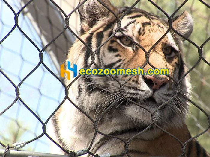 Tiger Fences Mesh | Zoo Mesh Supplier-Hengyi