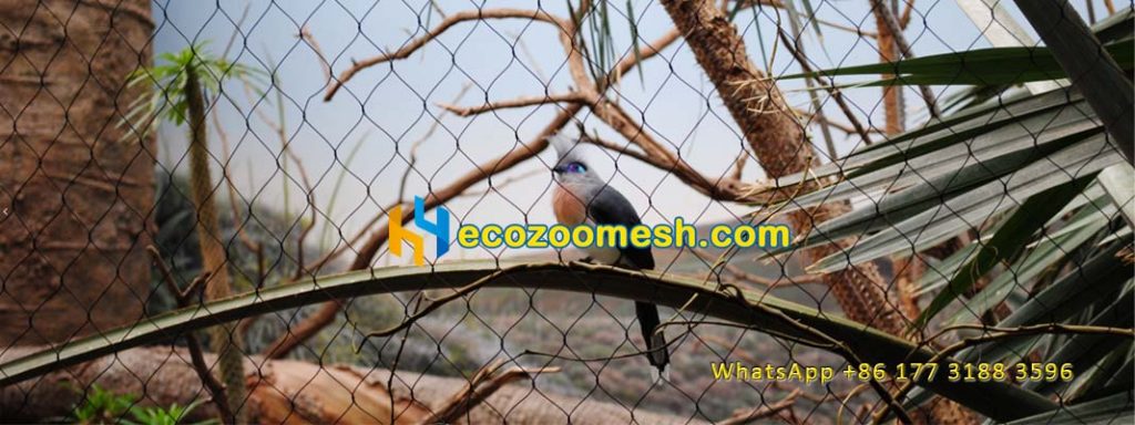 Aviary Mesh for Finches | Zoo Mesh Supplier-Hengyi