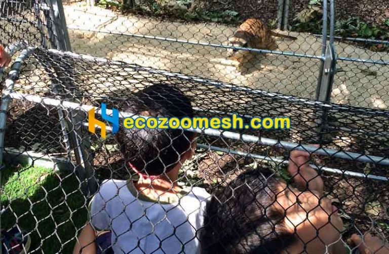 Meerkat Enclosure Mesh | Zoo Mesh Supplier-Hengyi