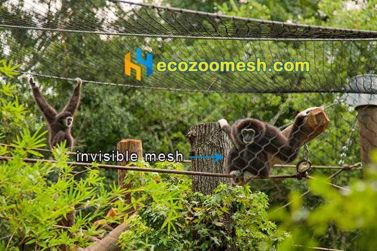 Mesh for Gibbon Enclosure | Zoo Mesh Supplier-Hengyi