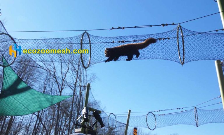 Cable Mesh Animal Enclosures | Zoo Mesh Supplier-Hengyi