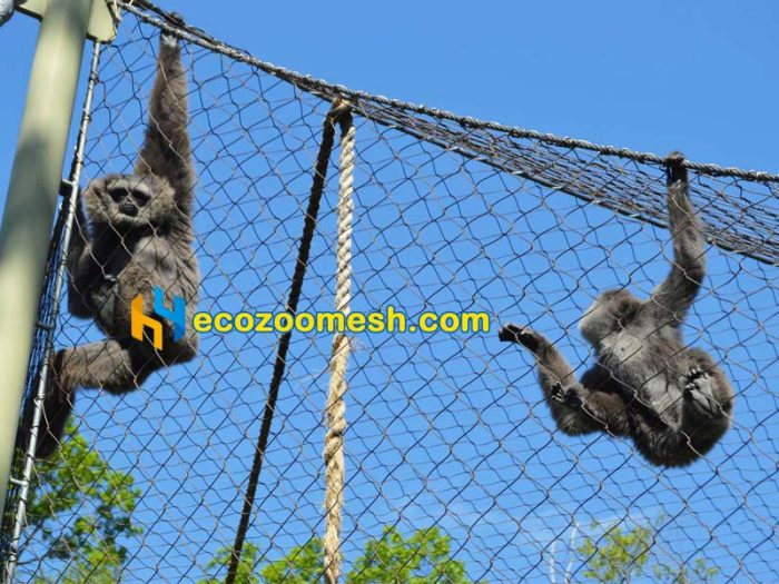 Gorillas Fence Mesh | Zoo Mesh Supplier-Hengyi