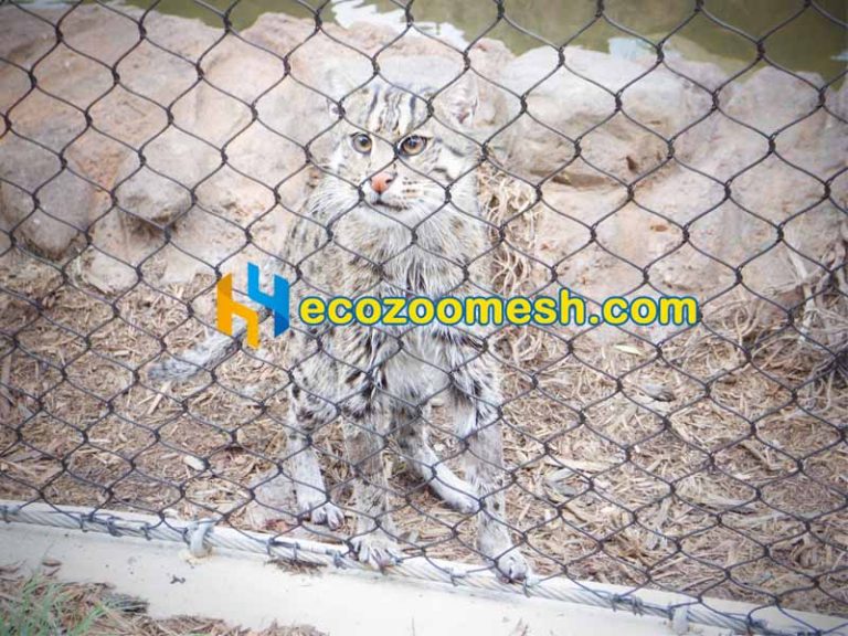 Bird aviary netting, zoo fences mesh, bird aviary netting
