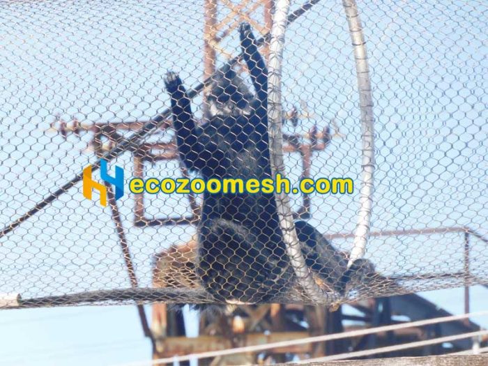 Monkey Channel Netting with Flexible Steel Cable Mesh | Zoo Mesh ...