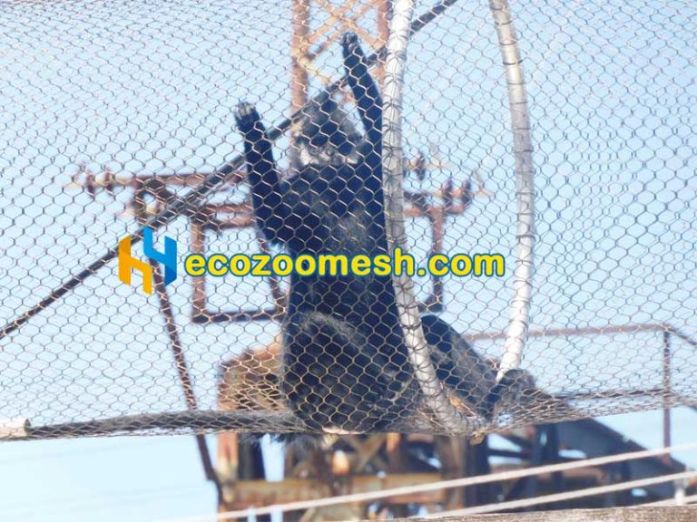 Monkey Channel Netting with Flexible Steel Cable Mesh | Zoo Mesh ...