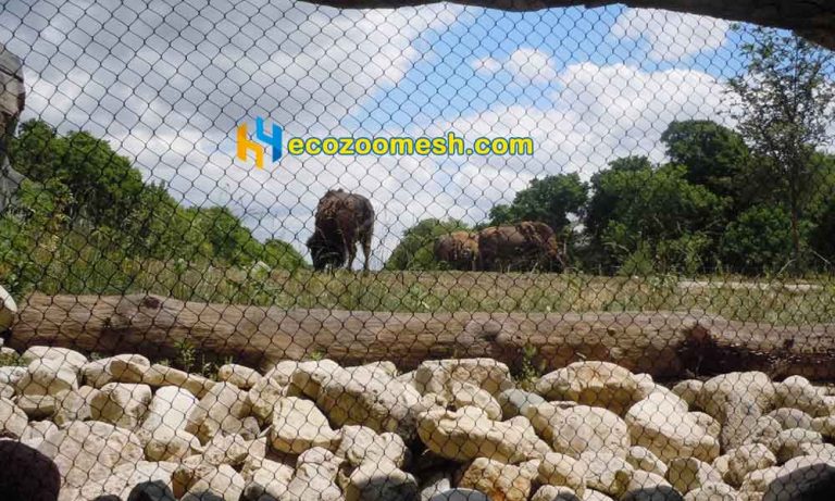 American Farm Animal Mesh | Zoo Mesh Supplier-Hengyi