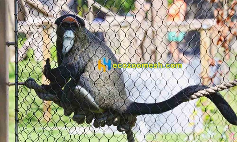 American Farm Animal Mesh | Zoo Mesh Supplier-Hengyi