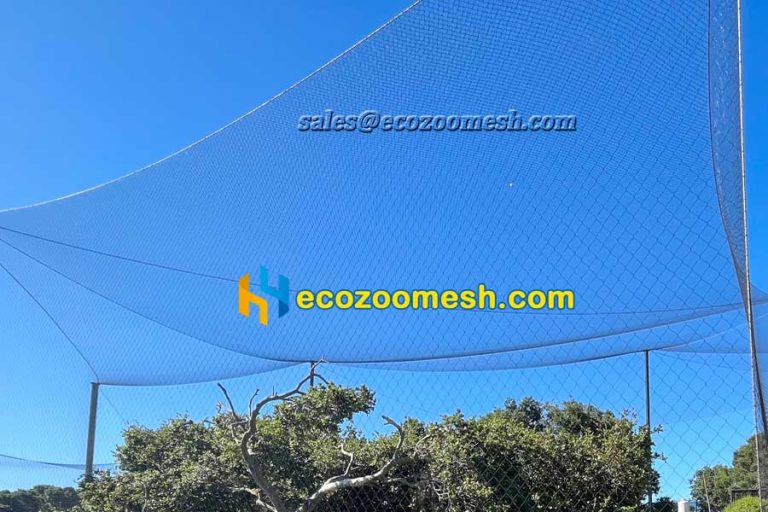 California Condors Aviary Mesh | Zoo Mesh Supplier-Hengyi