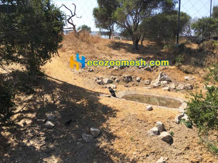 California Condors Aviary Mesh | Zoo Mesh Supplier-Hengyi