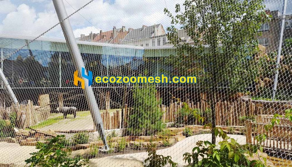 Deer Enclosure Fence Netting | Zoo Mesh Supplier-Hengyi