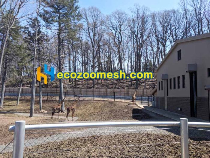 Deer Enclosure Fence Netting | Zoo Mesh Supplier-Hengyi